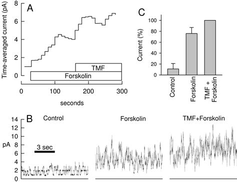 Activation Of Cftr By Forskolin And Tmf In Outside Out Patch Clamp
