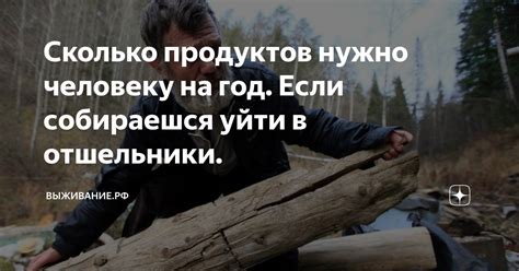 Сколько продуктов нужно человеку на год Если собираешся уйти в