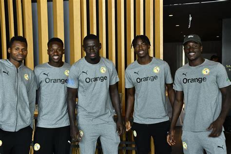 Regroupement des Lions Les premiers arrivés dans la tanière Wiwsport