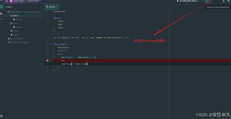 golang debug调试 goland debug csdn博客