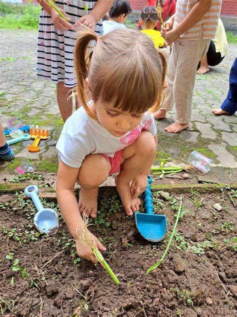 Egg Tots House Our Egg Tots Garden 🥰 Eggtotshouse