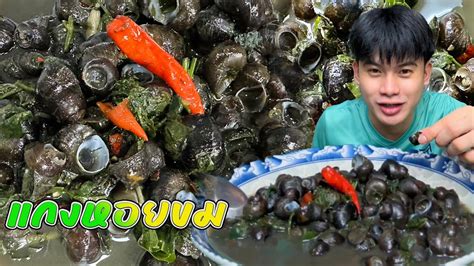 แกงหอยจูบ หอยขม Youtube