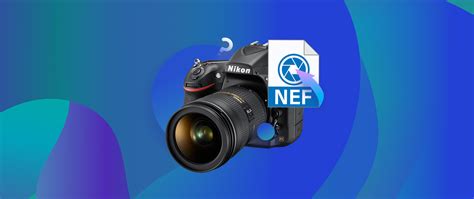 Nef File Recovery How To Recover Deleted Nef Photos 2025