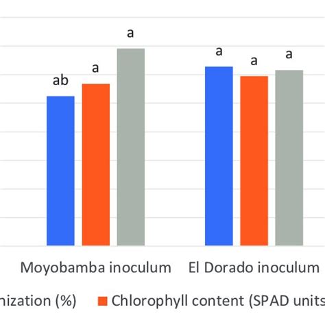 Effects Of Arbuscular Mycorrhizal Fungi Amf On Responses Of