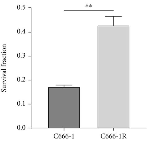Mir 613 Was Lowly Expressed In Npc Tissues And Cell Lines And Was