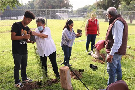 Jubilados Reforestan Canchas De Ciudad Universitaria De La Uag Uag