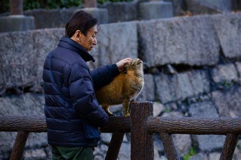 Por qué los gatos se frotan con las personas y las cosas Zona gatos