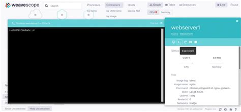 Monitor Docker Containers And Kubernetes Using Weave Scope