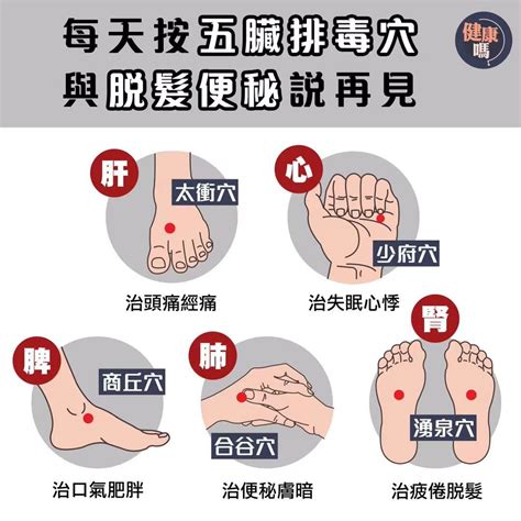 身體那件事 【中醫養生解碼】當出現口氣、便秘、青春痘、頭痛、失眠、脫髮等症狀時，代表五臟累積了過多的毒素。假如置之