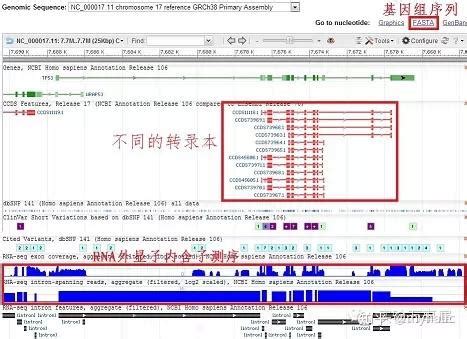NCBI从一窍不通到略知一二 知乎