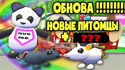 ОБНОВА КАК ПОЛУЧИТЬ КРЫС И ПАНДУ В АДОПТ МИ КИТАЙСКИЙ НОВЫЙ ГОД In Adopt Me Youtube