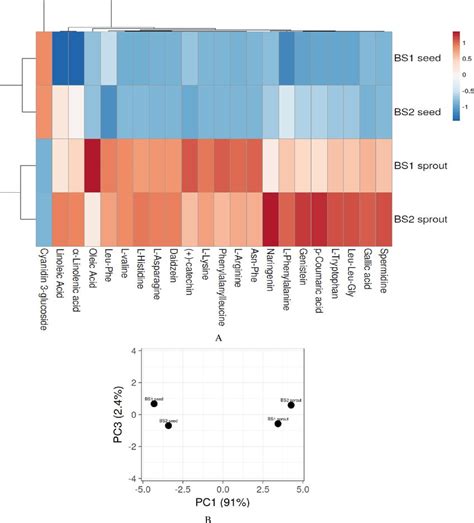 Identified Bioactive Compounds In Black Soybean Seeds And Sprouts A