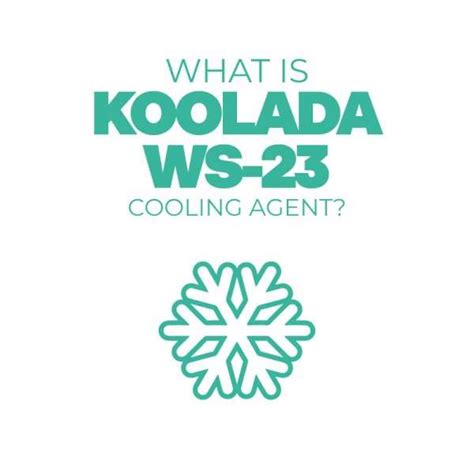 What Is Ws 23 Cooling Agent Drip Hacks