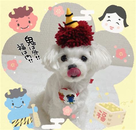 2025年ふうちゃん節分バージョン（笑） ふうかれんと一緒♪