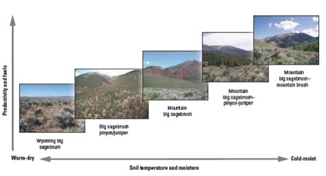 An Insightful Overview On Rational Plans Of Land Management Tools Sueec