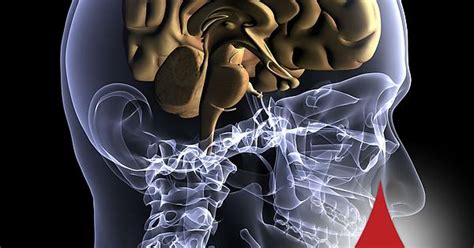 Search Engine Optimization Imgur