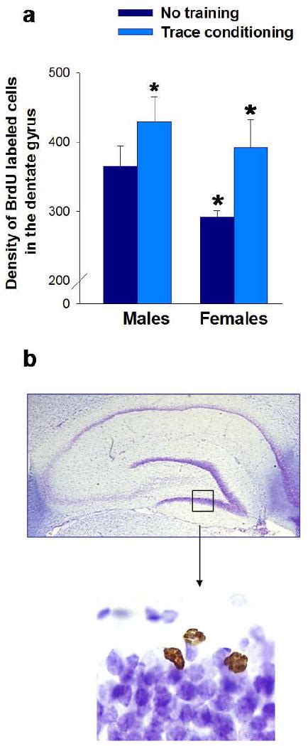 Sex Differences In Learning Processes Of Classical And Operant Conditioning Abstract Europe Pmc