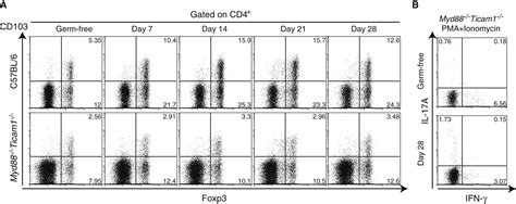 Intestinal Bacterial Colonization Induces Mutualistic Regulatory T Cell
