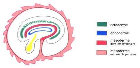 Centre Holonergétique Jean Ratte Images Et Tableaux