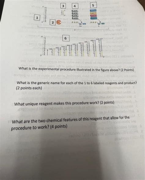 Solved What Is The Experimental Procedure Illustrated In The Chegg Com