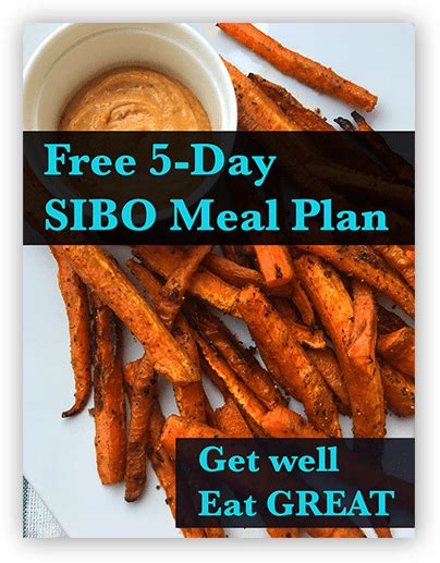 Free 5 Day Sibo Meal Plan Chartered Wellness