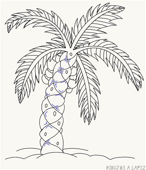 磊 Dibujos de palmeras 30Fáciles y Gratis