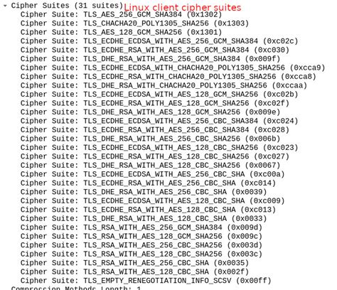 Ssl Why Is Openssl Linux Client Sending Application Data