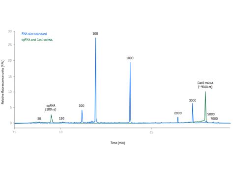 Synthetic Oligonucleotide Analysis