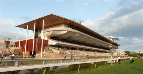 「競馬場に車で侵入」21歳ジョッキーが「前代未聞の事件」後に急逝沈黙を貫くjraの「不可解な姿勢」