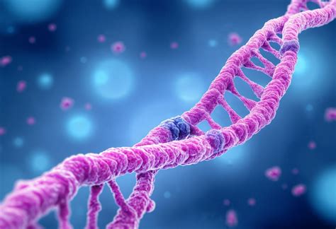 The Impact Of Brca Gene Mutations On Fertility Rugiet