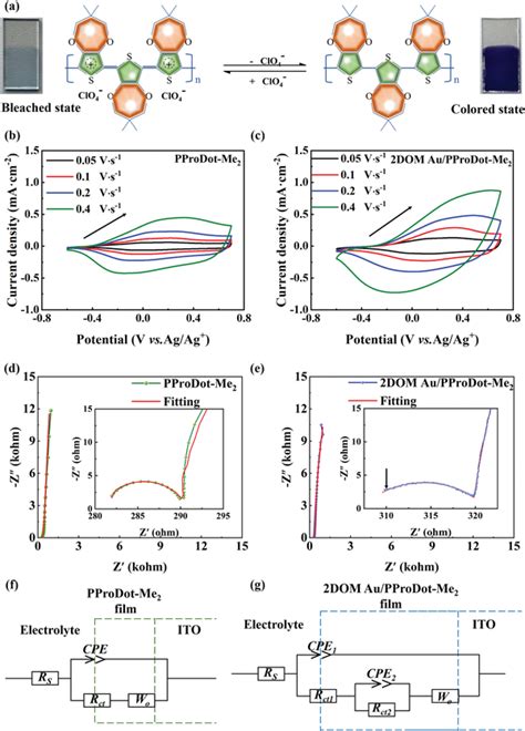 A Schematic Diagram Of The Electrochemical Redox Reactions Of Download Scientific Diagram