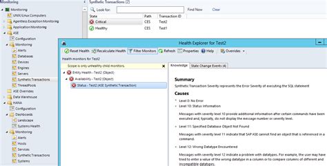 Sap Ase Sybase Availability And Performance Monitoring