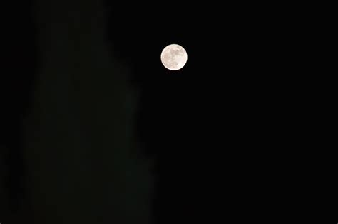 รูปภาพ เบา กลางคืน ตอนเย็น ความมืด ท้องฟ้ายามค่ำ ดวงจันทร์