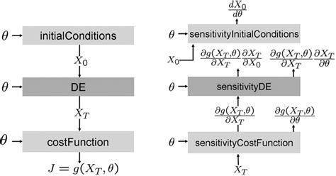 A Schematic Representation Of The Code Running The Pcp Ode Model B