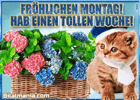 🔥 50 Guten Morgen Montag  And Bilder 2025 Bilalmania