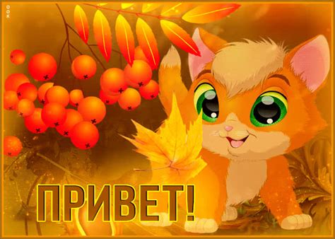 Расслабляющая и умиротворяющая гиф открытка Привет Скачать бесплатно