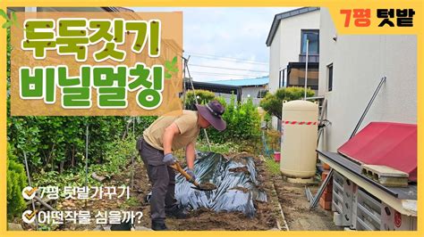 [7평텃밭] 8년 차 텃밭 비닐멀칭을 하는이유 비온 뒤 두둑짓기 비닐멀칭 하는 방법 Youtube