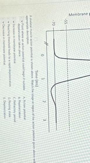 Solved Membrane Chegg