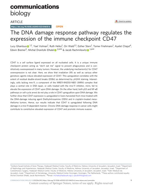 Pdf The Dna Damage Response Pathway Regulates The Expression Of The