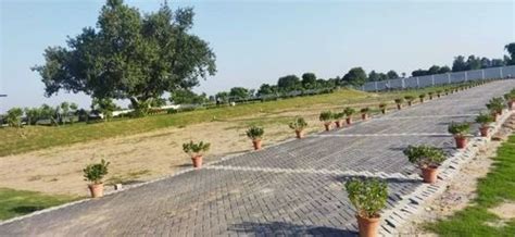 Plots In Gurgaon Residential Ddjay Plots At ₹ 78500square Yard In