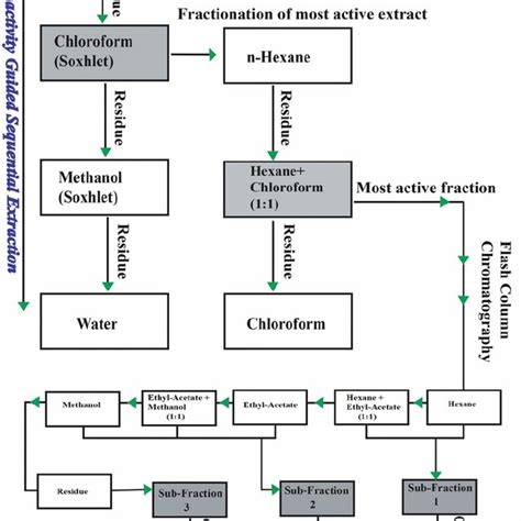 Schematic Diagram Illustrates The Bioactivity Guided Extraction And
