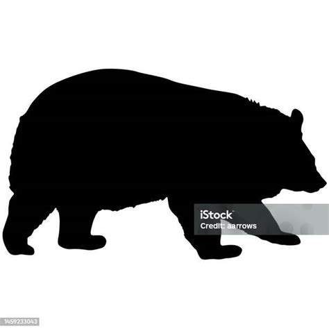 흰색 배경에 실루엣 브라운 곰 곰에 대한 스톡 벡터 아트 및 기타 이미지 곰 실루엣 대형 Istock