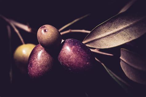 Promises Photograph By Bonny Puckett Fine Art America