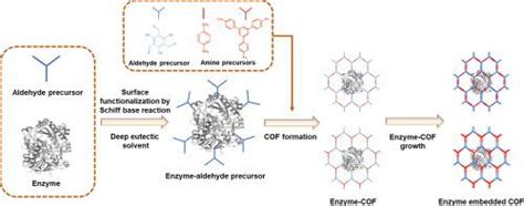 Cof Cof Chemical Engineering Journal X Mol