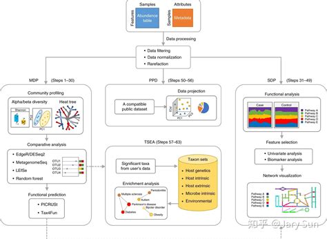 Microbiomeanalyst：一款基于网页的分析工具 知乎