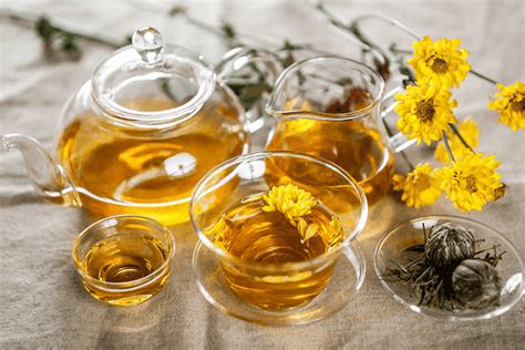Những Ai Không Nên Uống Trà Hoa Cúc Tác Dụng Phụ Của Trà Hoa Cúc Primer