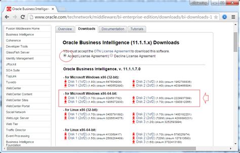 Install Oracle Bi G