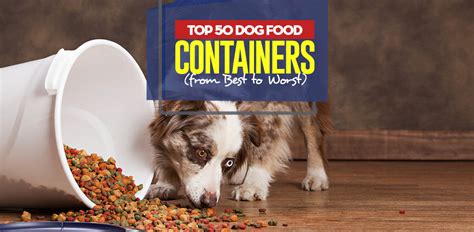 Top 50 Best Dog Food Container Choices Updated 2024