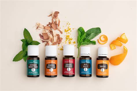 10 Best Essential Oil Brands 2023 Secrecs In Health