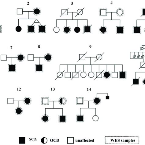 Sequenced Samples Dashed Lines Indicate Individuals Who Underwent Wes